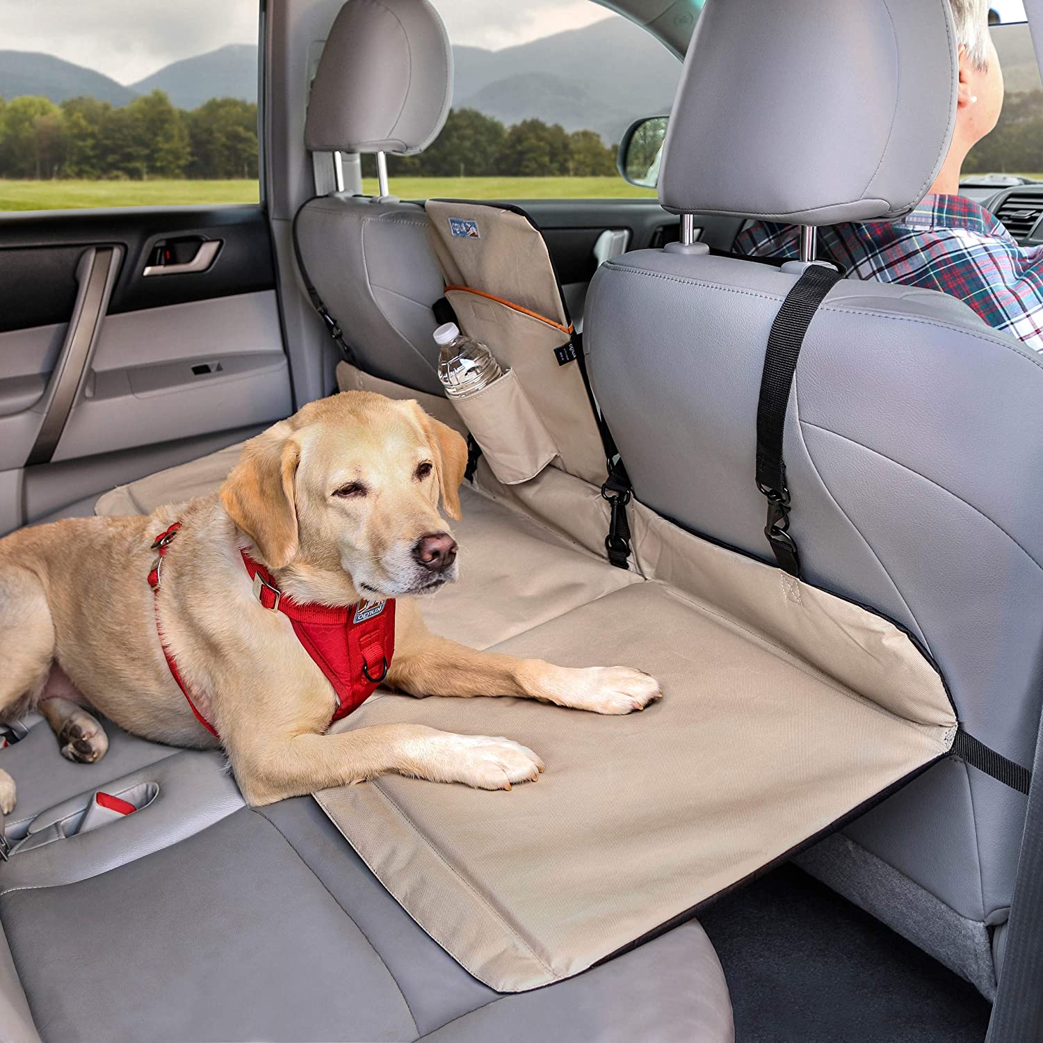 The Best Pet Barrier for Cars | automasterly.com
