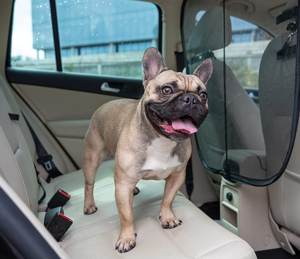 The Best Pet Barrier for Cars | automasterly.com